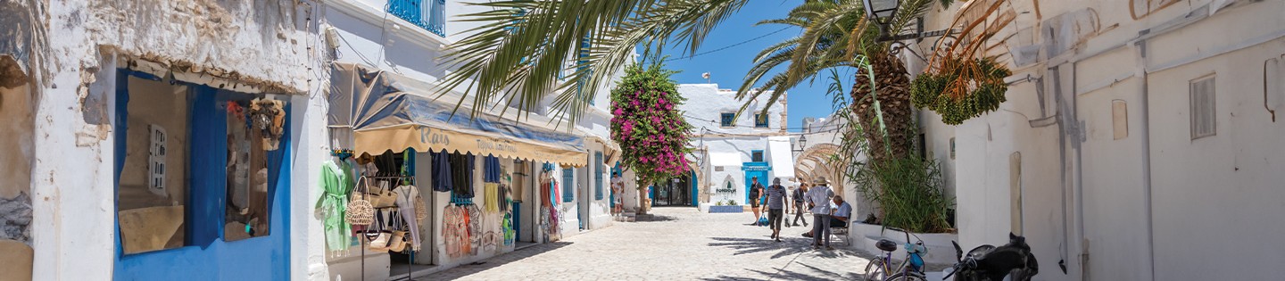 Почивка в Джерба - Оферти и Екскурзии до остров Джерба - OnexTour